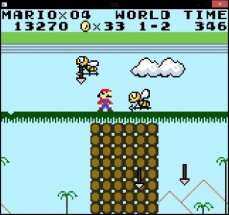 Super Mario Land...Color